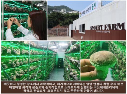 Busan City, Urban Smart Farm Linked to Social Economy Revitalization ...